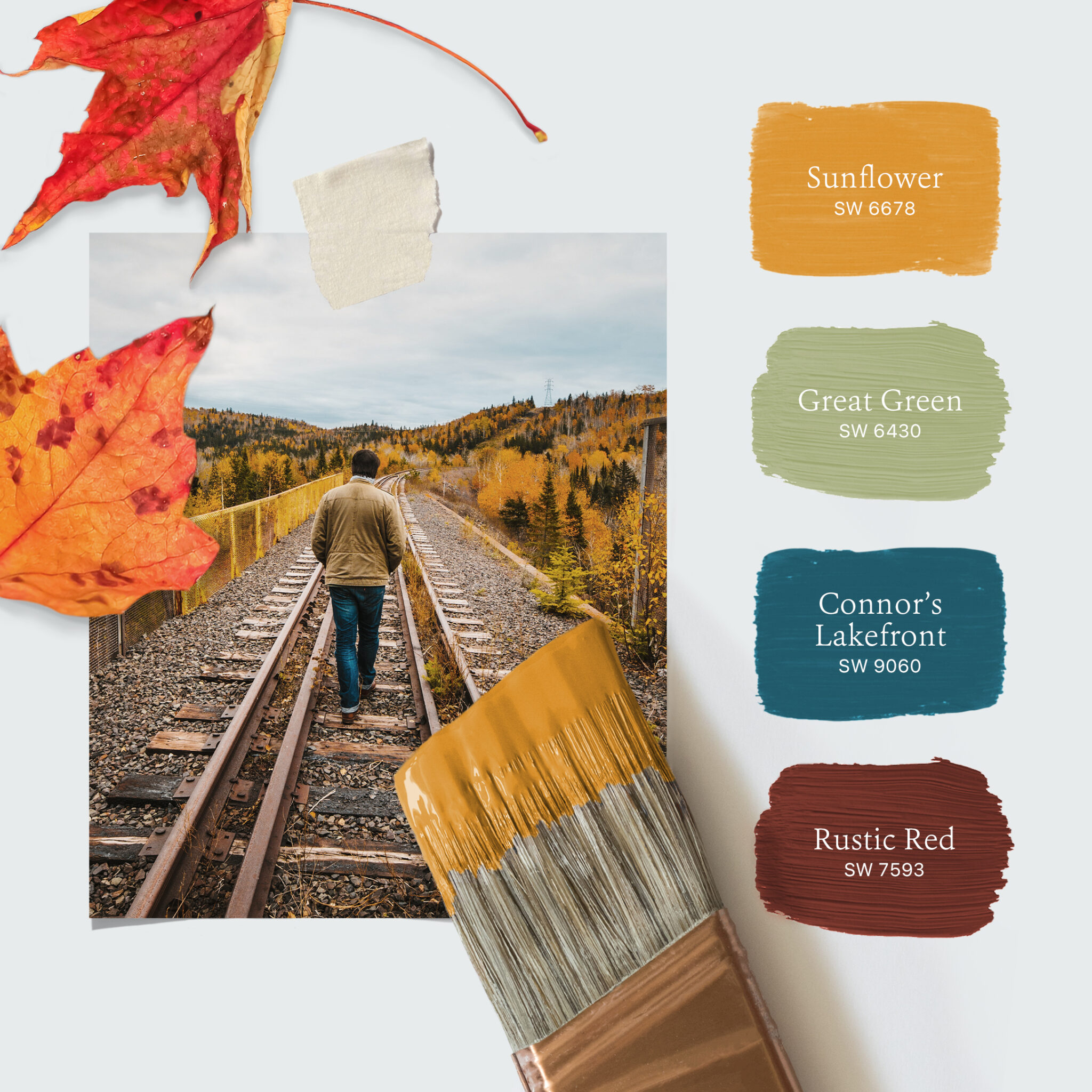 Colors of the Country: Paint Palettes by Region | Tinted - Sherwin-Williams