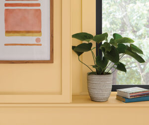 Color of the Month June 2023: White Raisin | Tinted