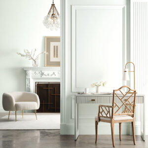 Designer Color Collection featuring Pure + Pristine | Tinted